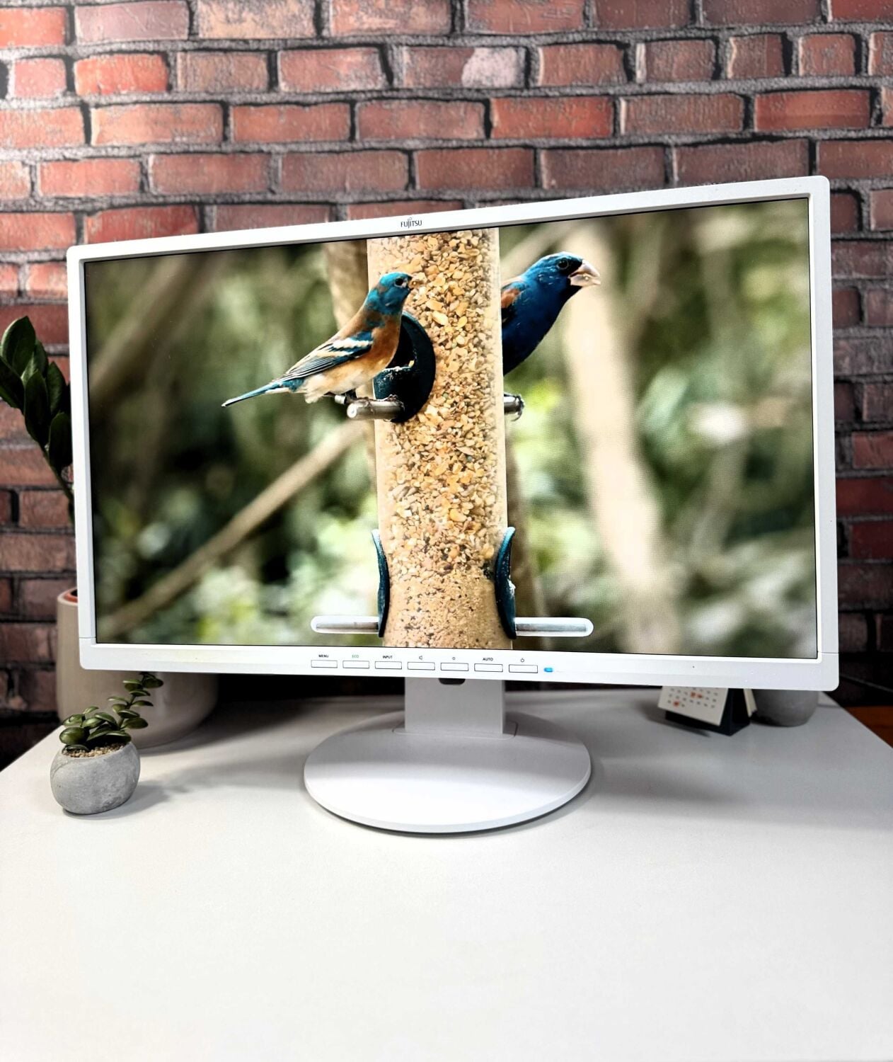 Купить монитор Fujitsu B24-8 TE Pro / 24" (1920x1080) IPS / VGA, DVI ...
